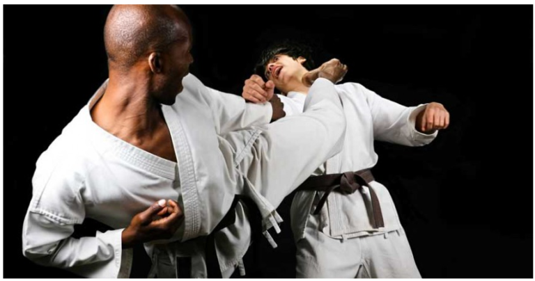 Teen / Adult - North Peoria Karate Academy Teen and Adult Karate